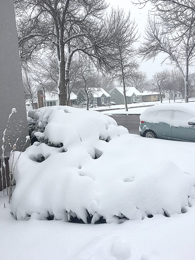 Patchy, heavy, wet snow marks Easter Sunday | News, Sports, Jobs - The ...
